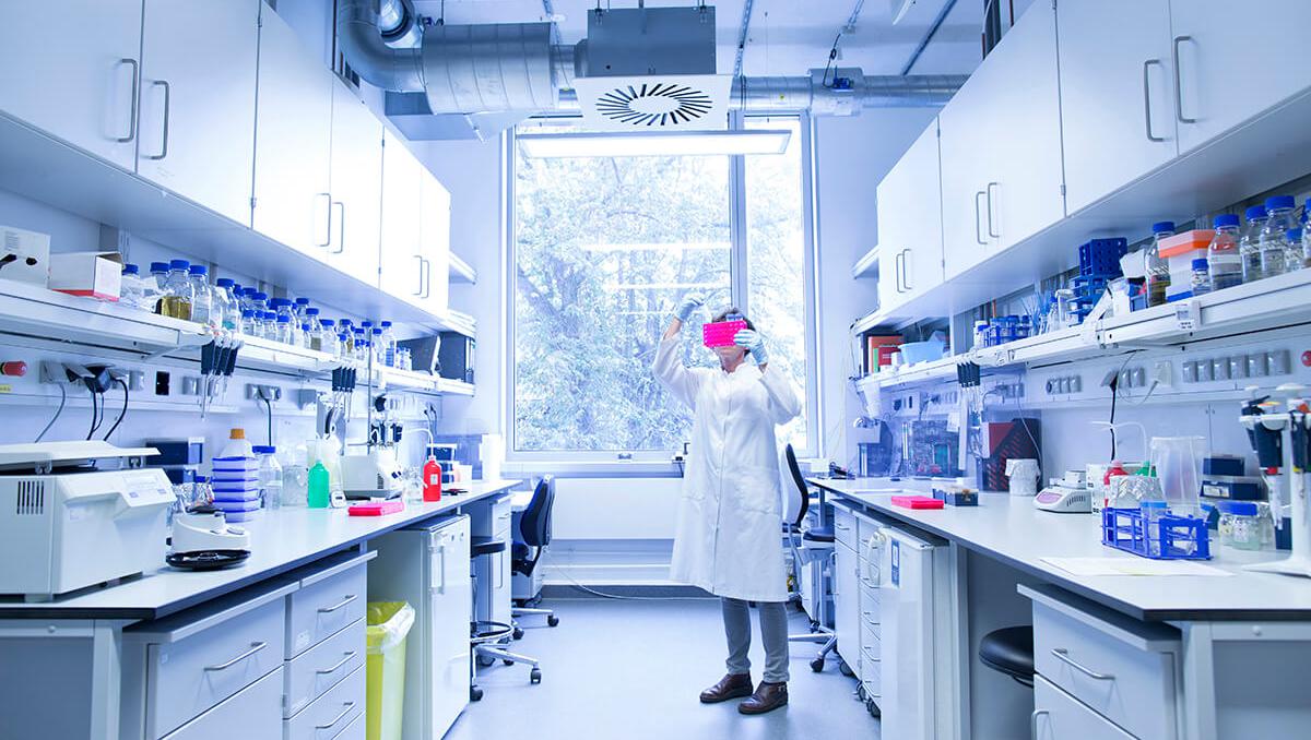 Disease and Outbreak Management Solution webcast - Vasquez & Company LLP Disease and Outbreak Management Solution webcast - Vasquez & Company LLP