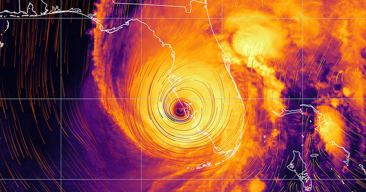 Who’s who in insurance claims for natural disasters - Vasquez & Company LLP